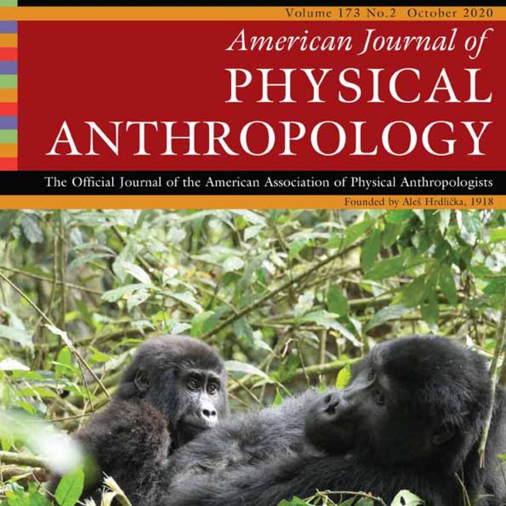 New studies on the evolution and function of Carabelli trait published ...